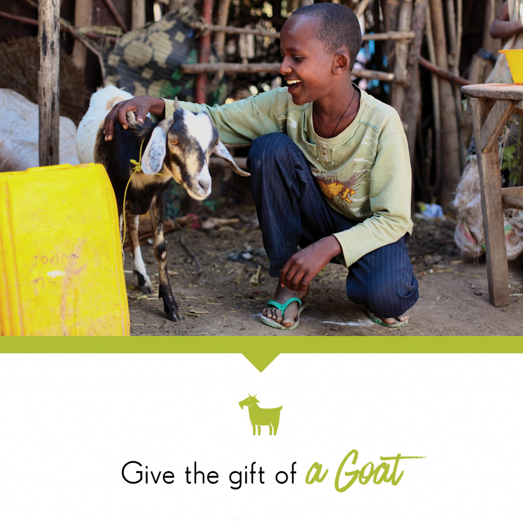 Goat - Food for the Hungry